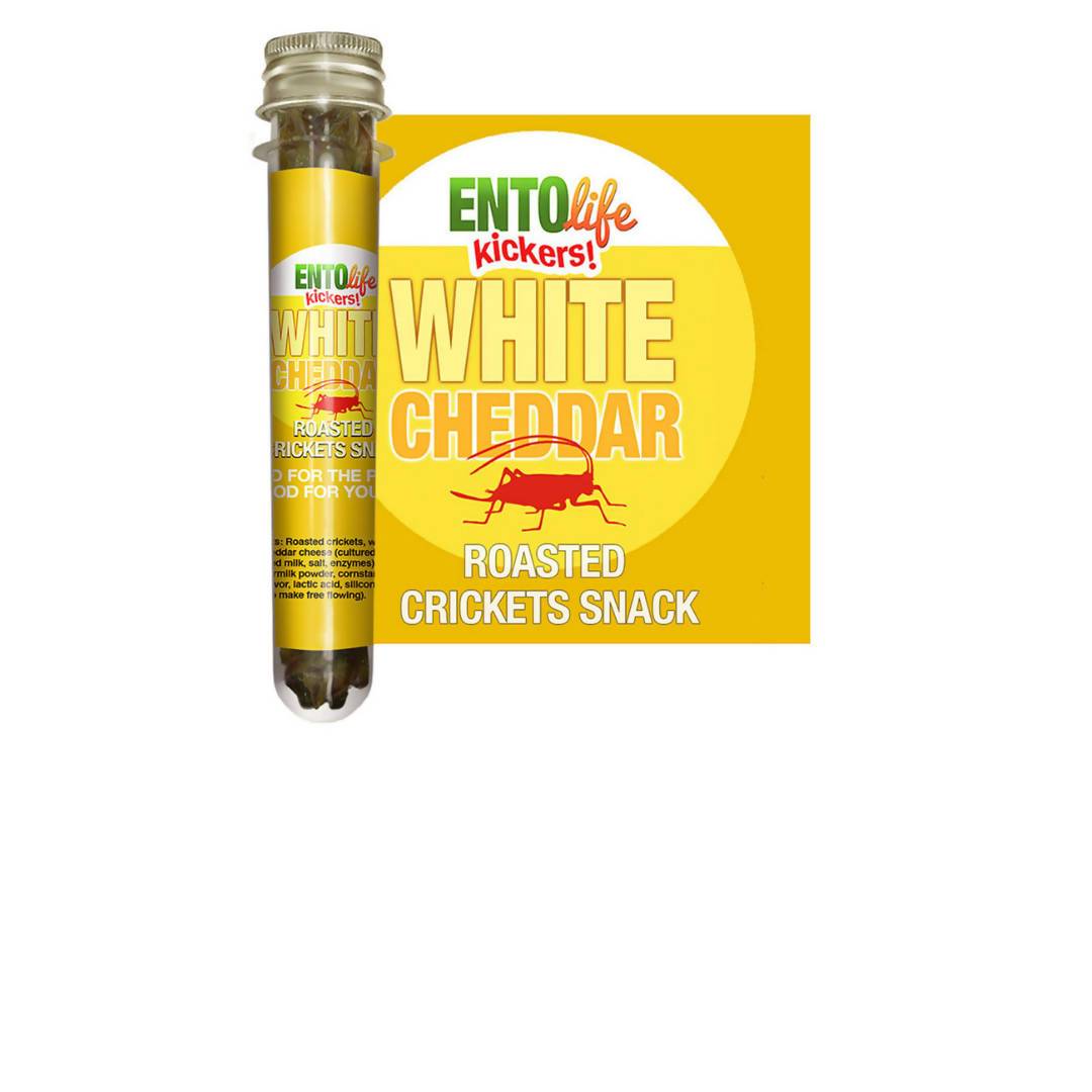 White Cheddar Roasted Cricket Snack Tubes - 6 x 10g | Entosense ...
